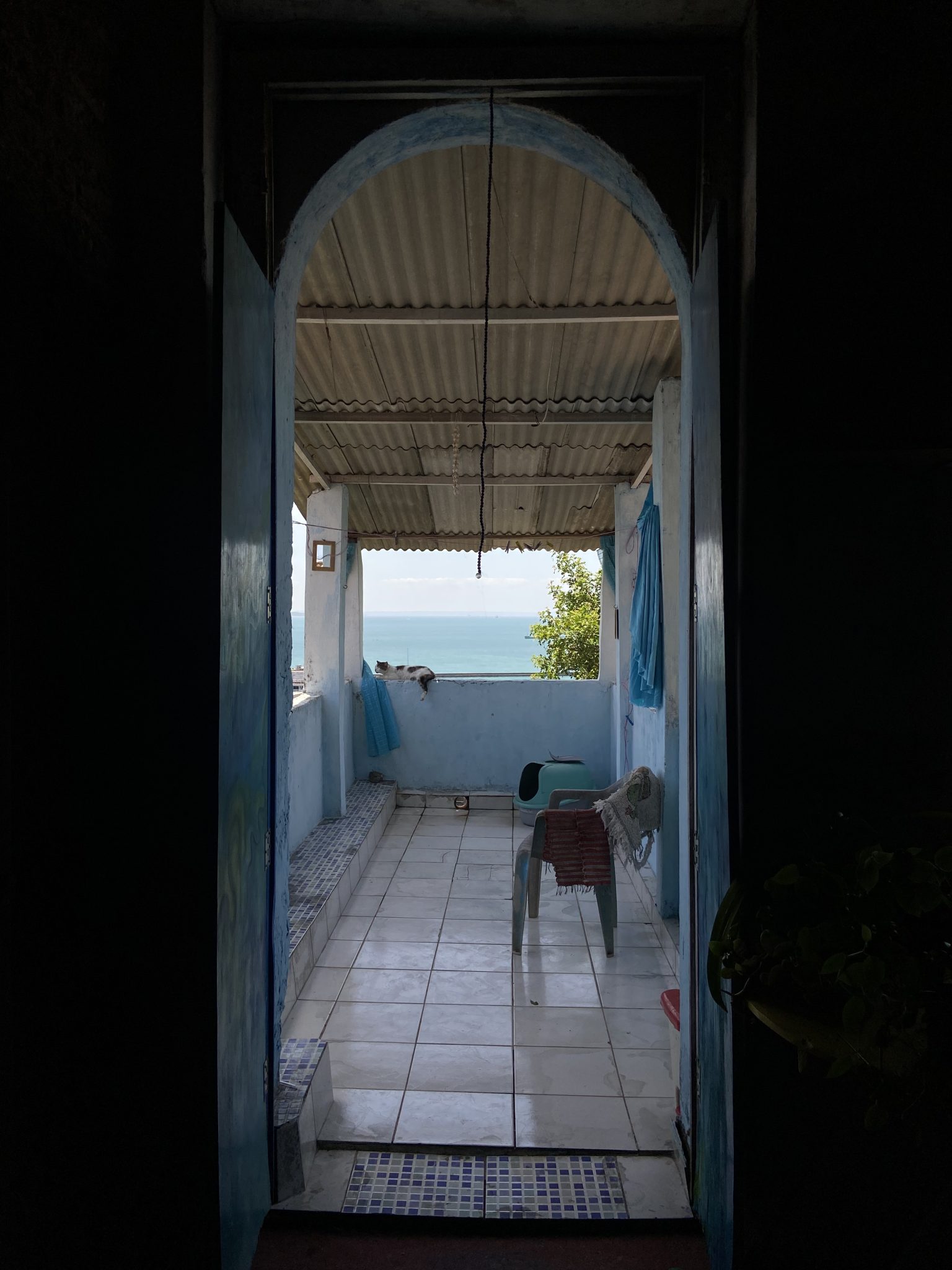 Eu moro aqui: documentário retrata a luta por moradia digna - Habitat ...